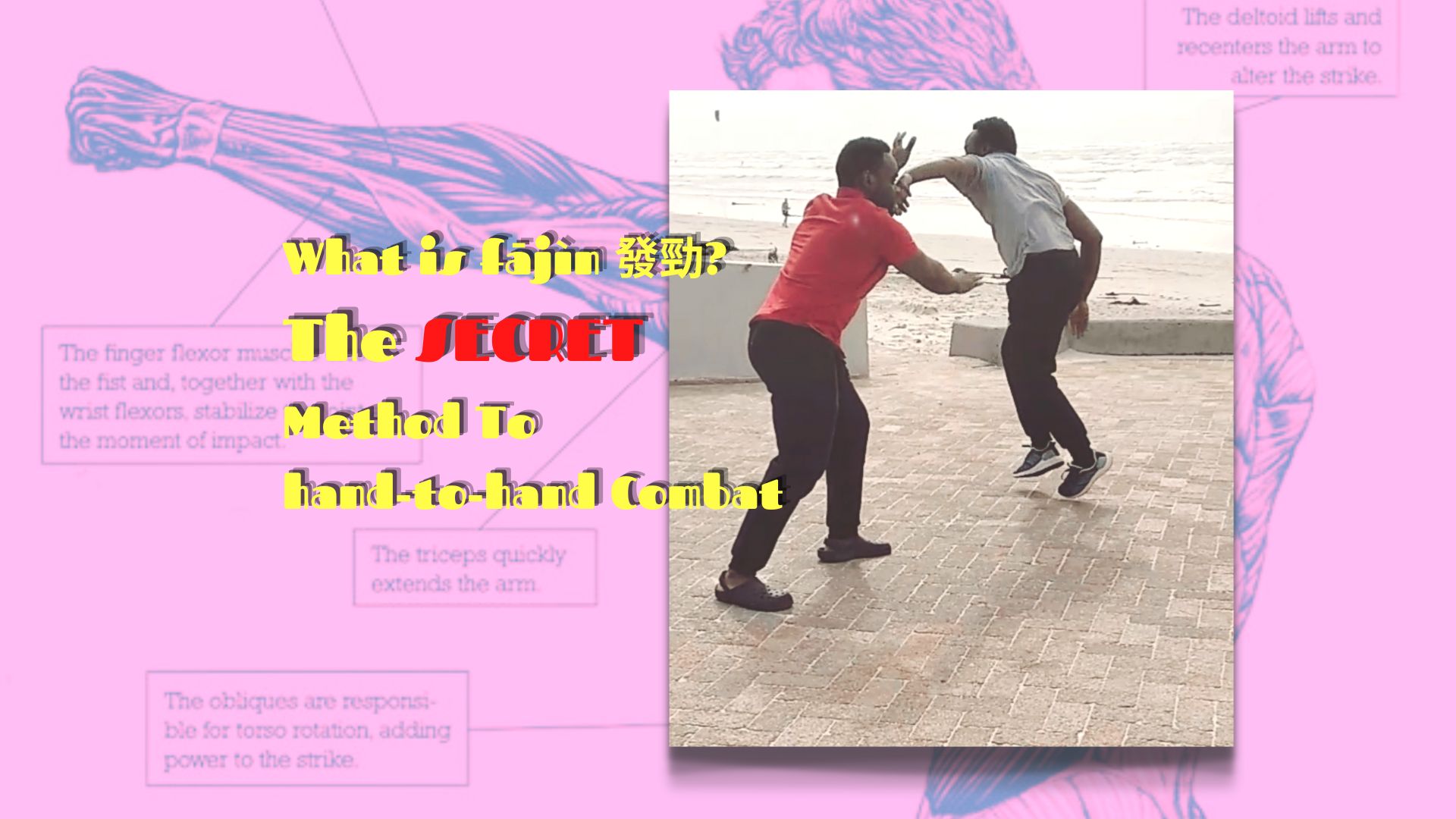 What is fājìn 發勁? The SECRET Method To hand-to-hand Combat