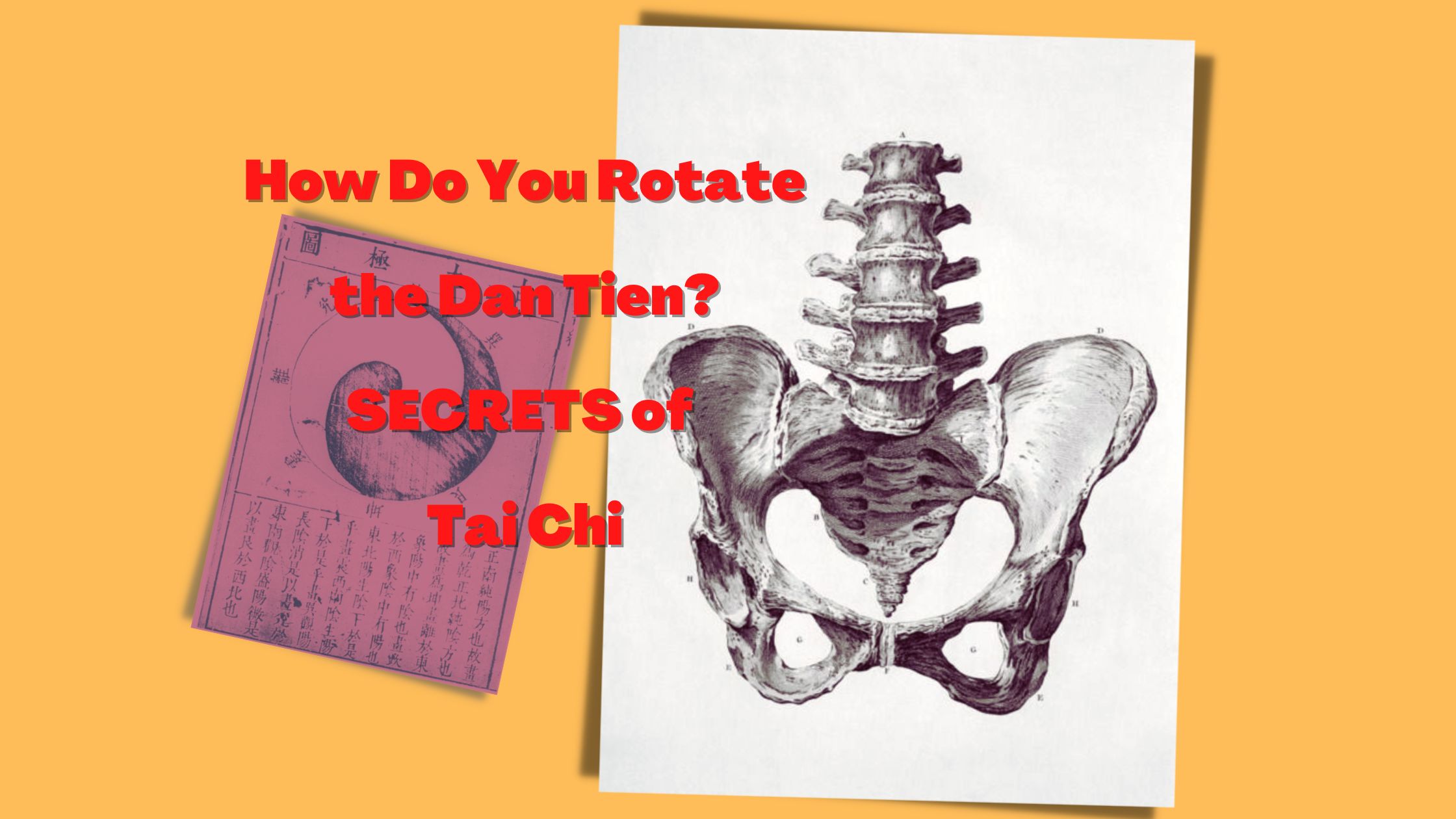 How Do You Rotate the Dan Tien? SECRETS of Tai Chi
